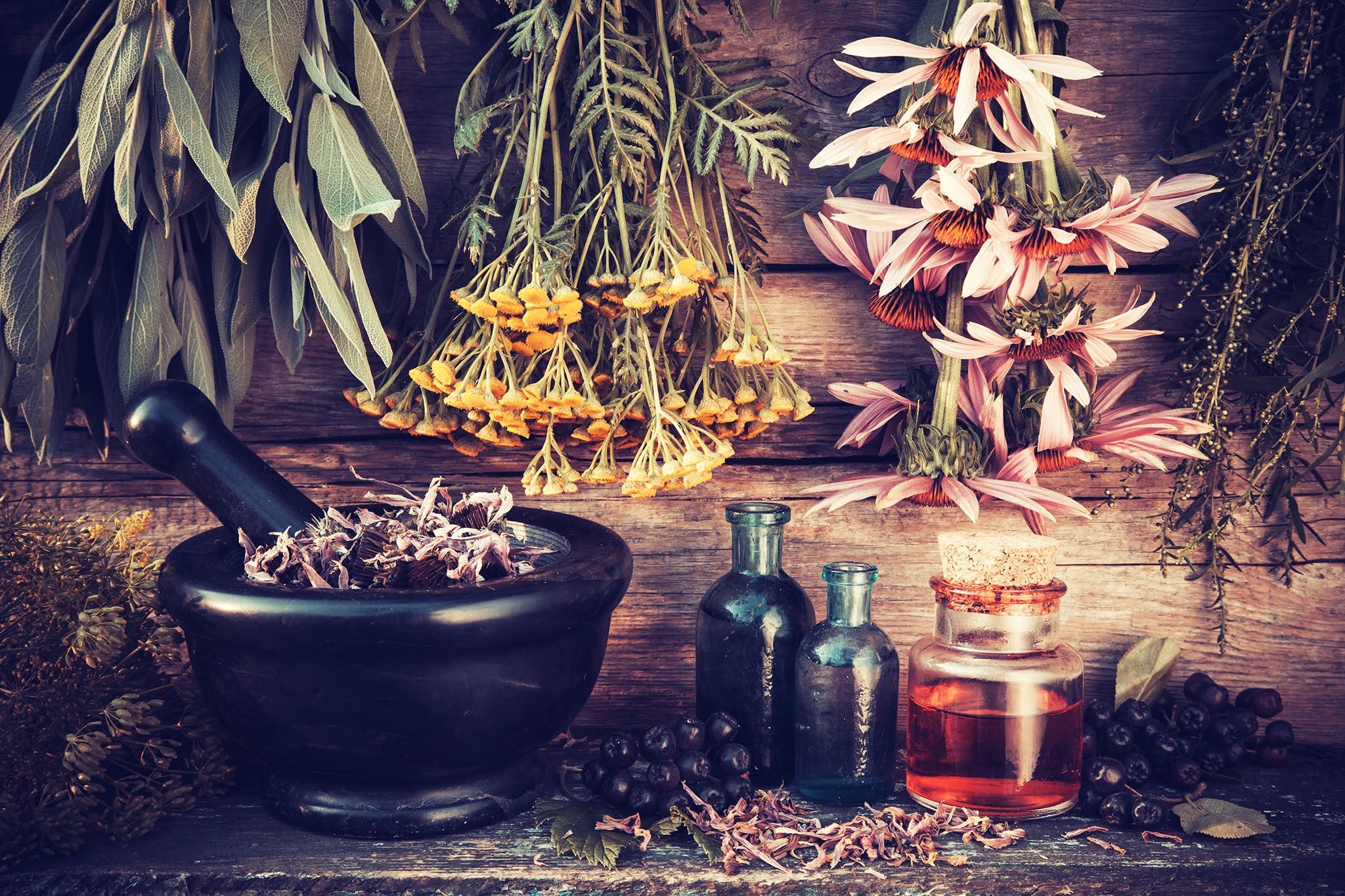 Top 5 Digestive Helpers That Really Work – Organic Burst
